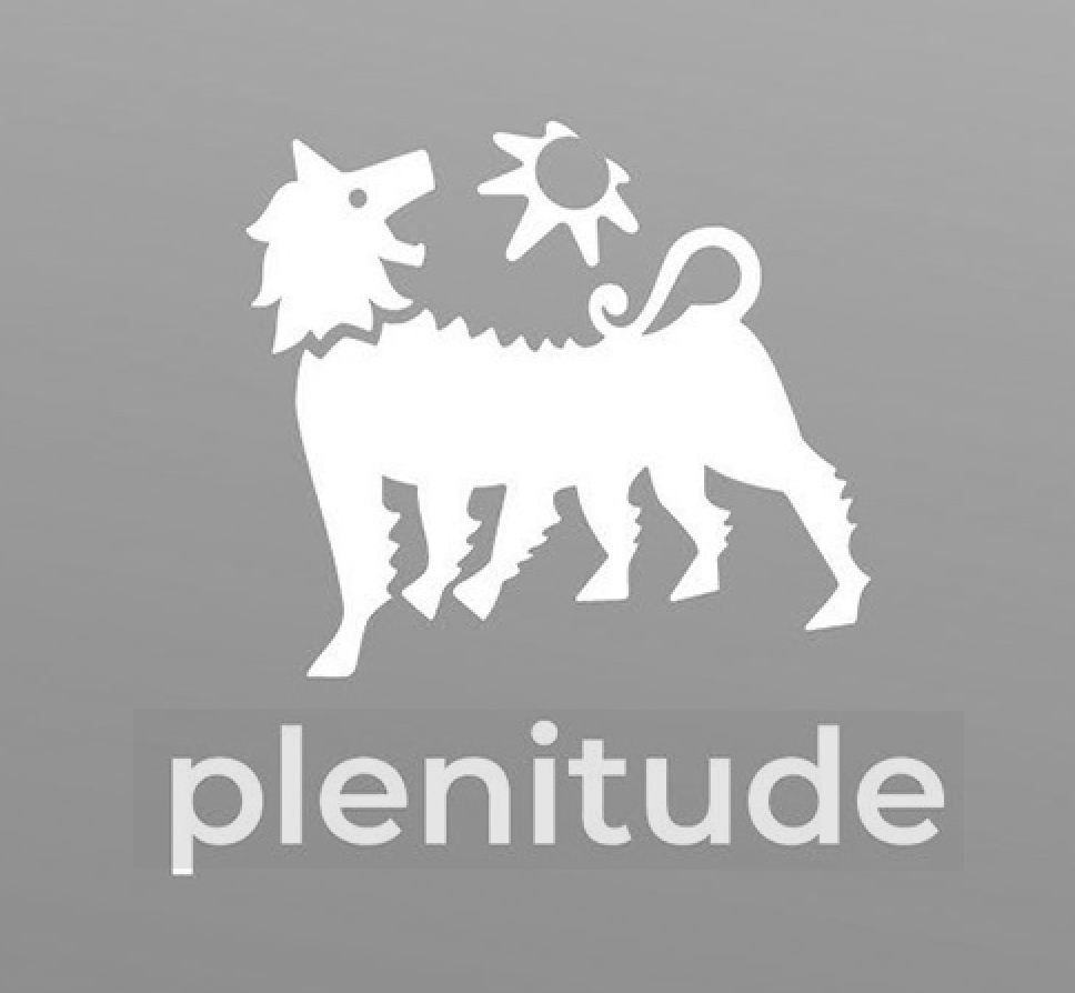 PLENITUDE - Campagna Digital - Mood Management
